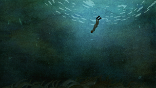 Cannes: producer Richard Valk about Water Girl - SEE NL