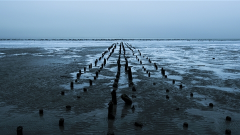 Time, tide and the magic of Dutch light - SEE NL